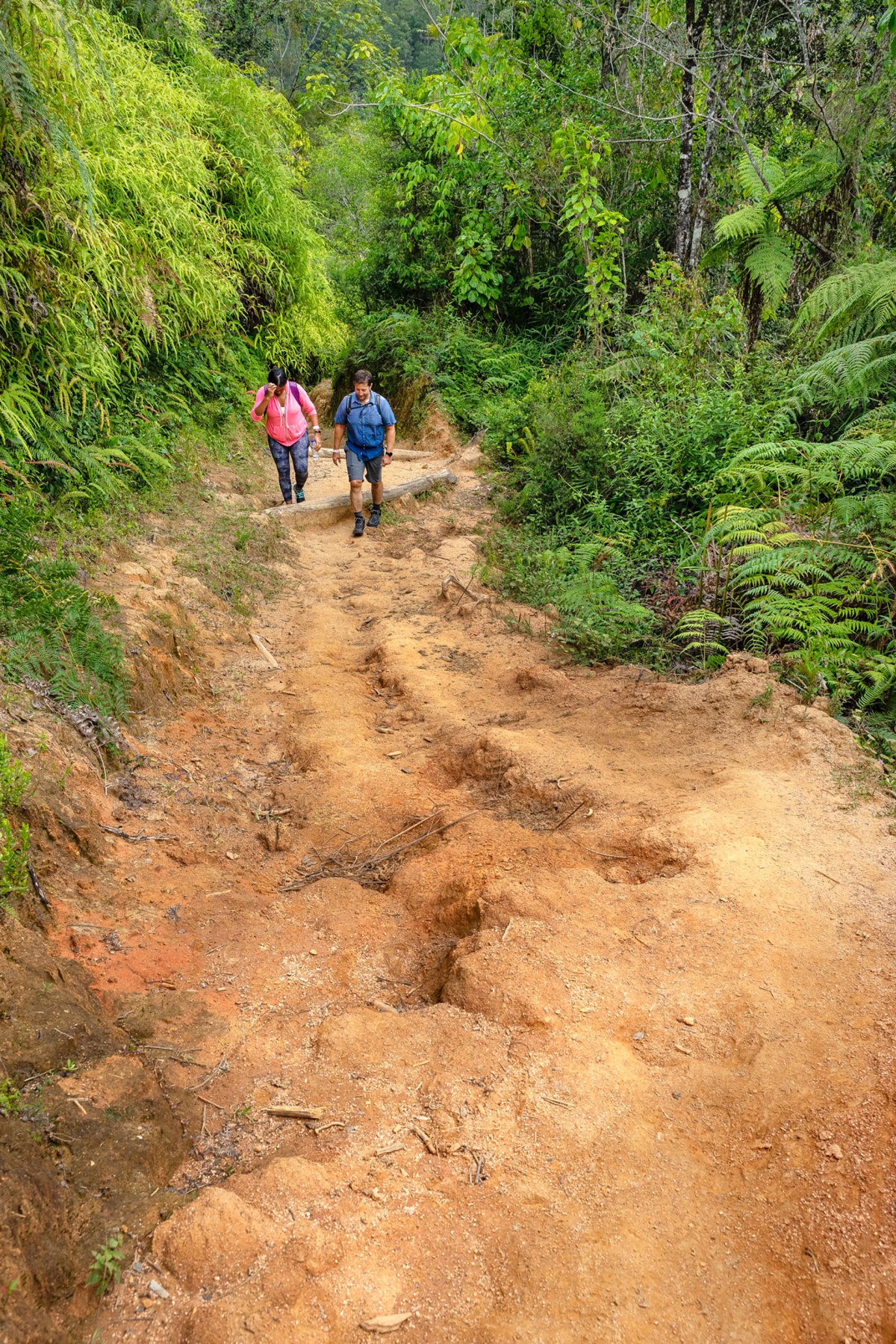 Wandern auf den Pico Duarte in der Dominikanischen Republik